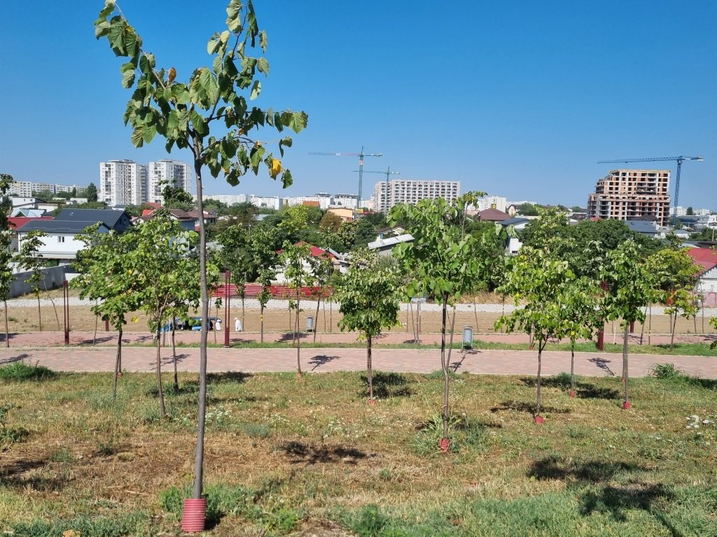 Cum arată Parcul Teilor, cel mai mare parc din București amenajat după ...