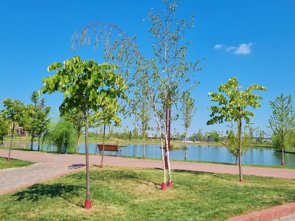 Cum arată Parcul Teilor, cel mai mare parc din București amenajat după ...