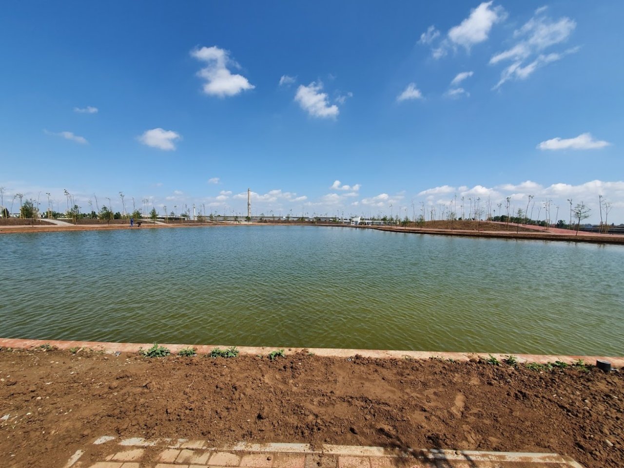 Cum arată Parcul Teilor, cel mai mare parc din București amenajat după ...